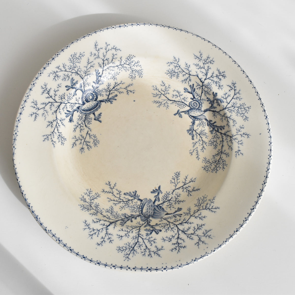 アンティーク深皿 テールドゥフェール Coquillages C (ダメージあり セール商品) — Loane Interior