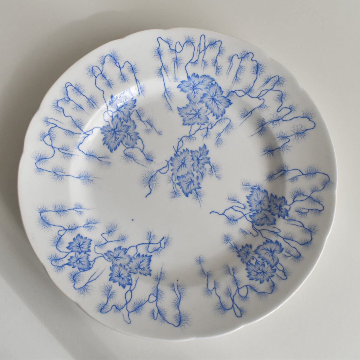 アンティークプレート LM&Cie クレイユモントロー Flora Lichen （フローラ リケン） B — Loane Interior