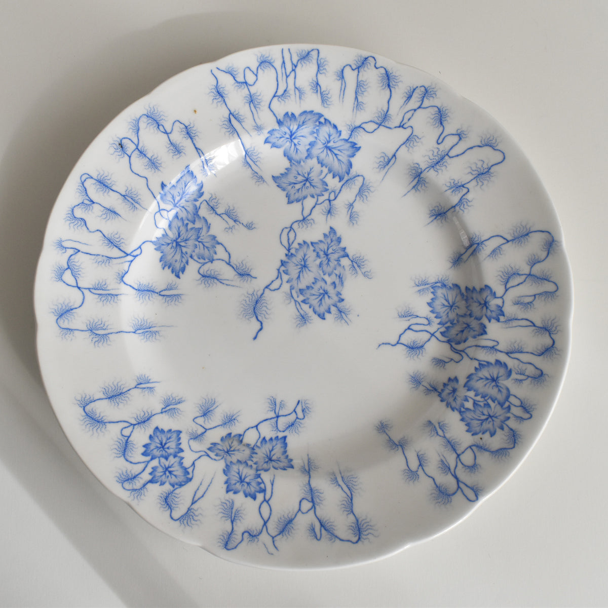 アンティークプレート LM&Cie クレイユモントロー Flora Lichen （フローラ リケン） D — Loane Interior