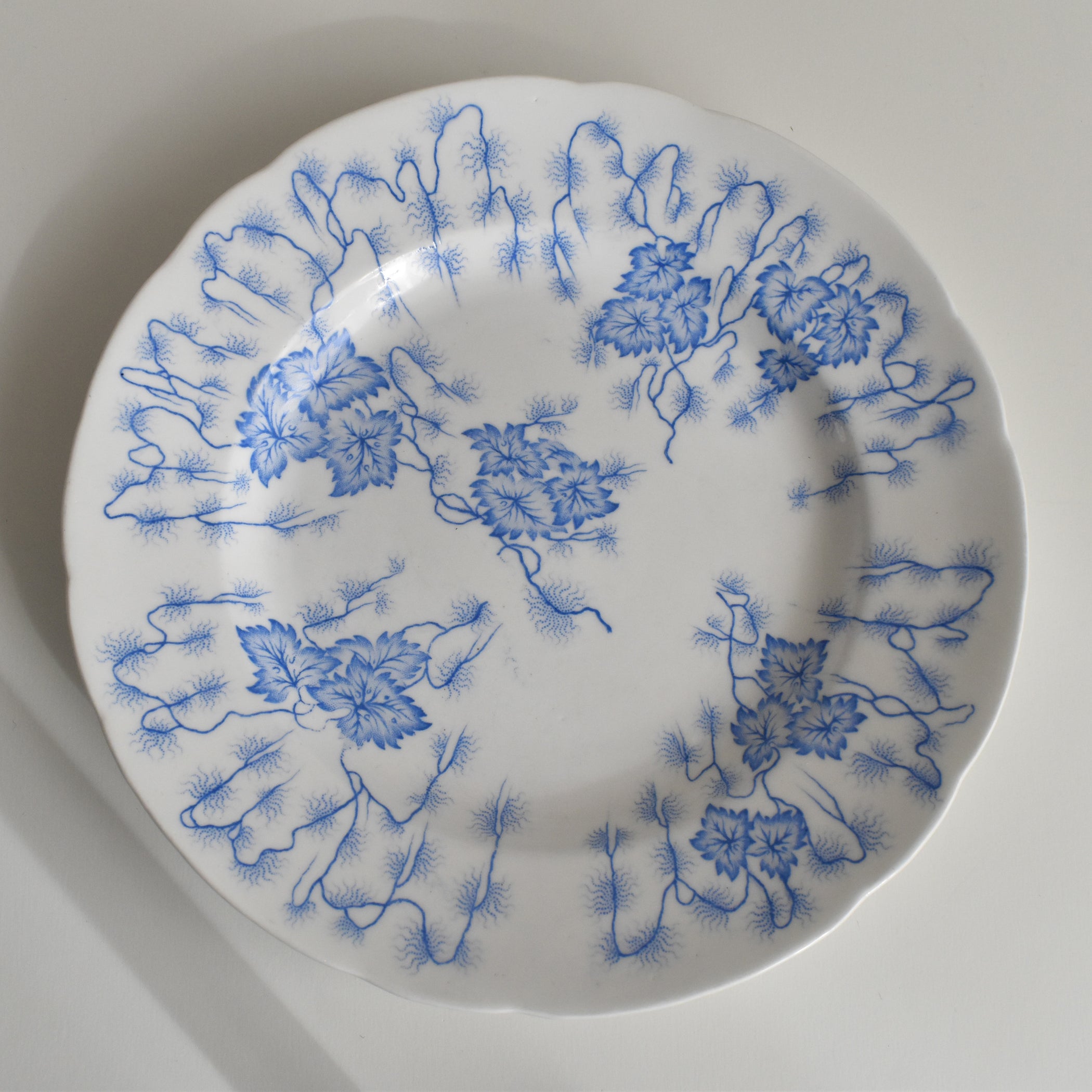 アンティークプレート LM&Cie クレイユモントロー Flora Lichen （フローラ リケン） F — Loane Interior