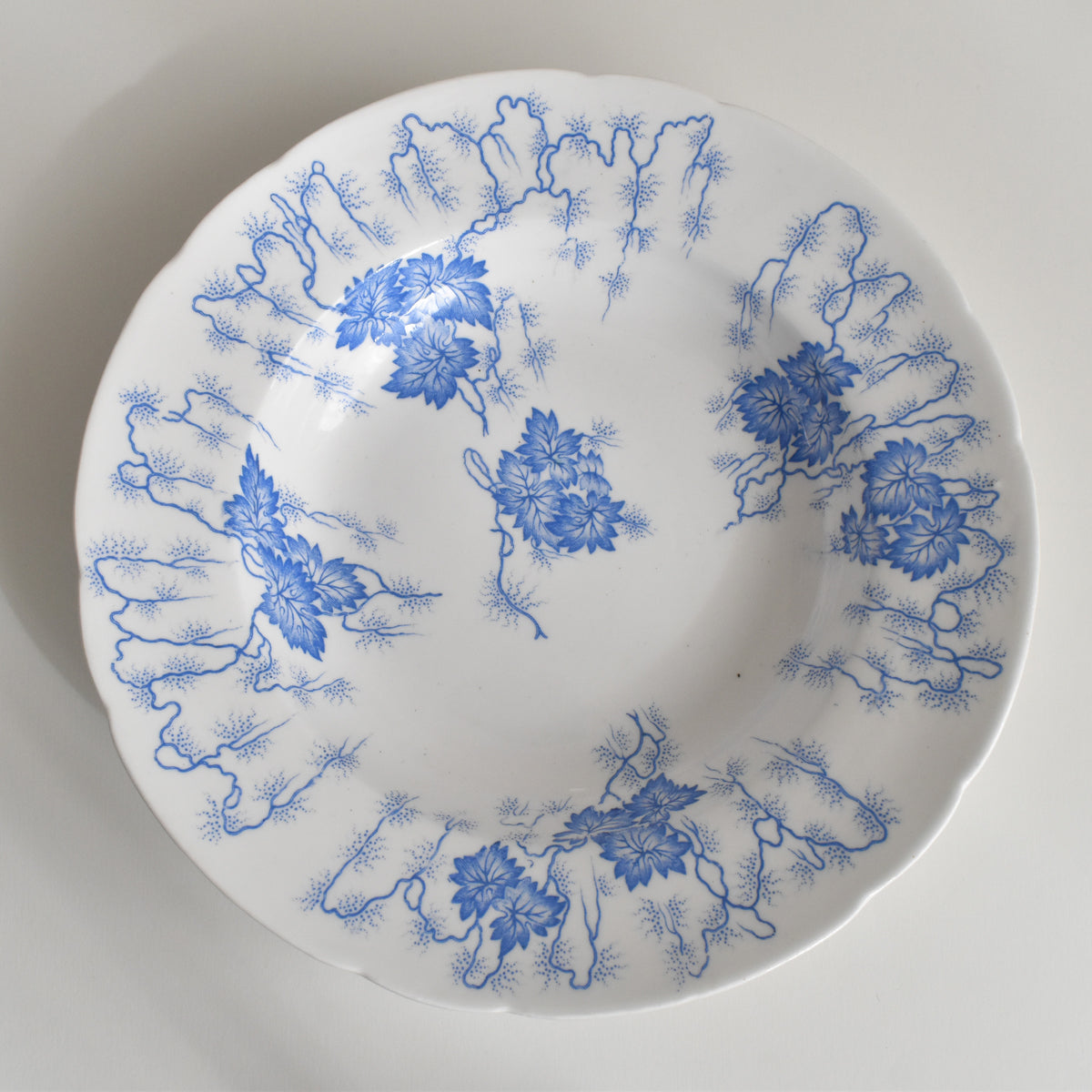 アンティーク深皿 LM&Cie クレイユモントロー Flora Lichen （フローラ リケン） B — Loane Interior