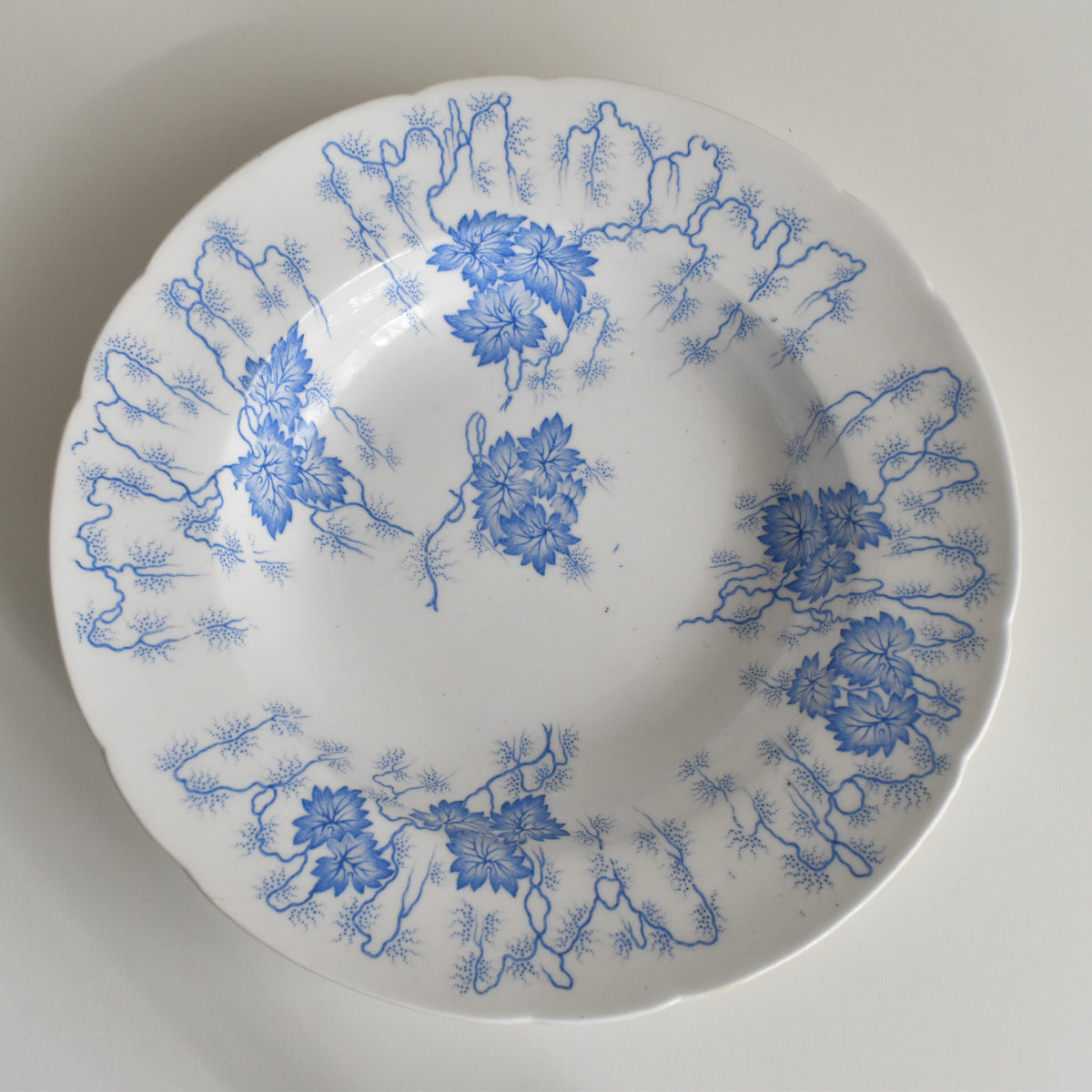 アンティーク深皿 LM&Cie クレイユモントロー Flora Lichen （フローラ リケン） D — Loane Interior