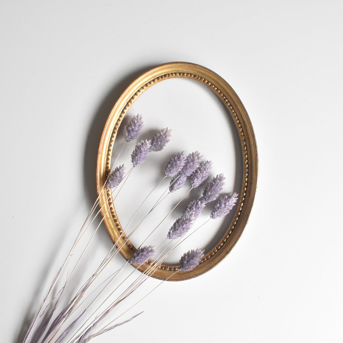 ヴィンテージオーヴァル フレーム — Loane Interior