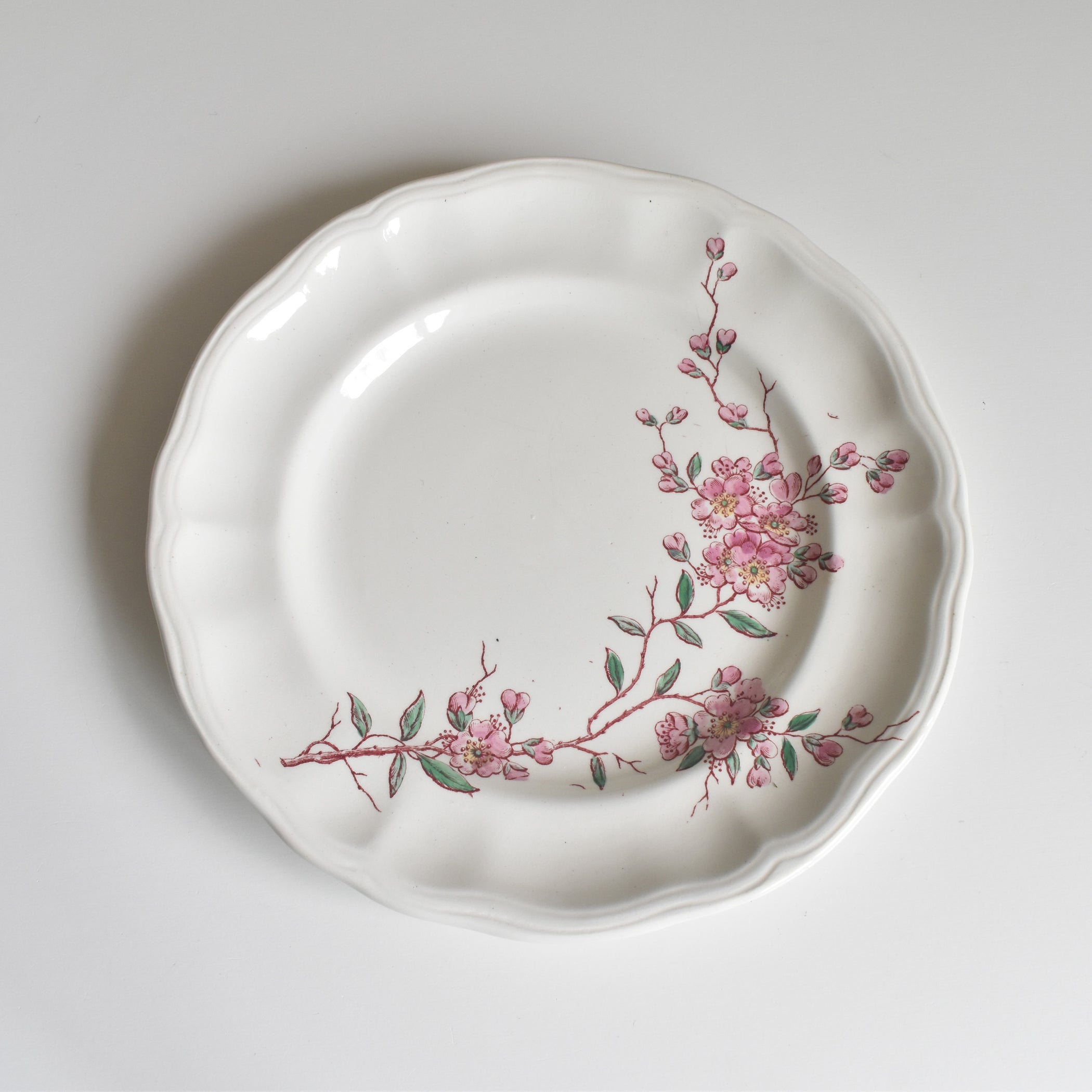 アンティークプレート ロンシャン Pommiers (ポミエ）C — Loane Interior