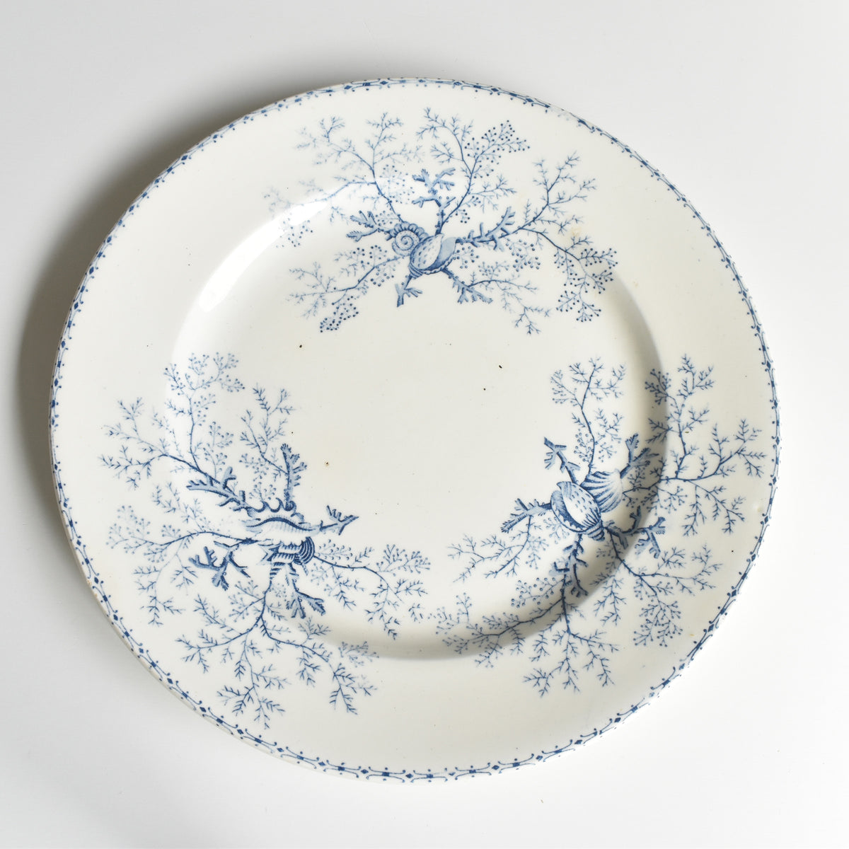 アンティークプレート テールドゥフェール Coquillages E — Loane Interior