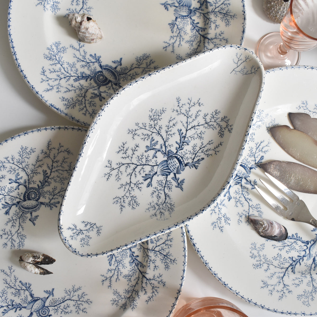 アンティークラヴィエ テールドゥフェール Coquillages B — Loane Interior