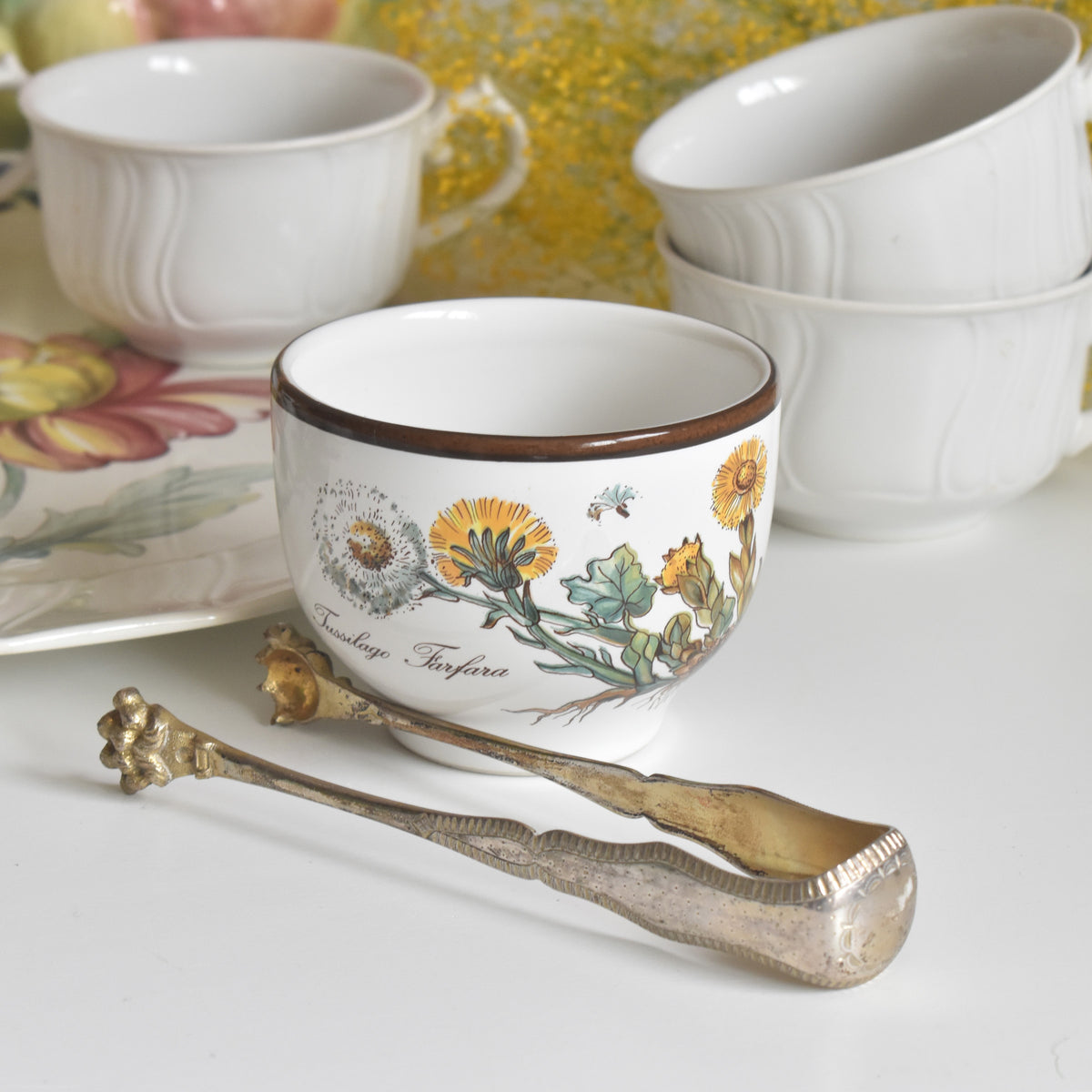 ヴィンテージカップ ビレロイボッホ Botanica (ボタニカ） A — Loane Interior