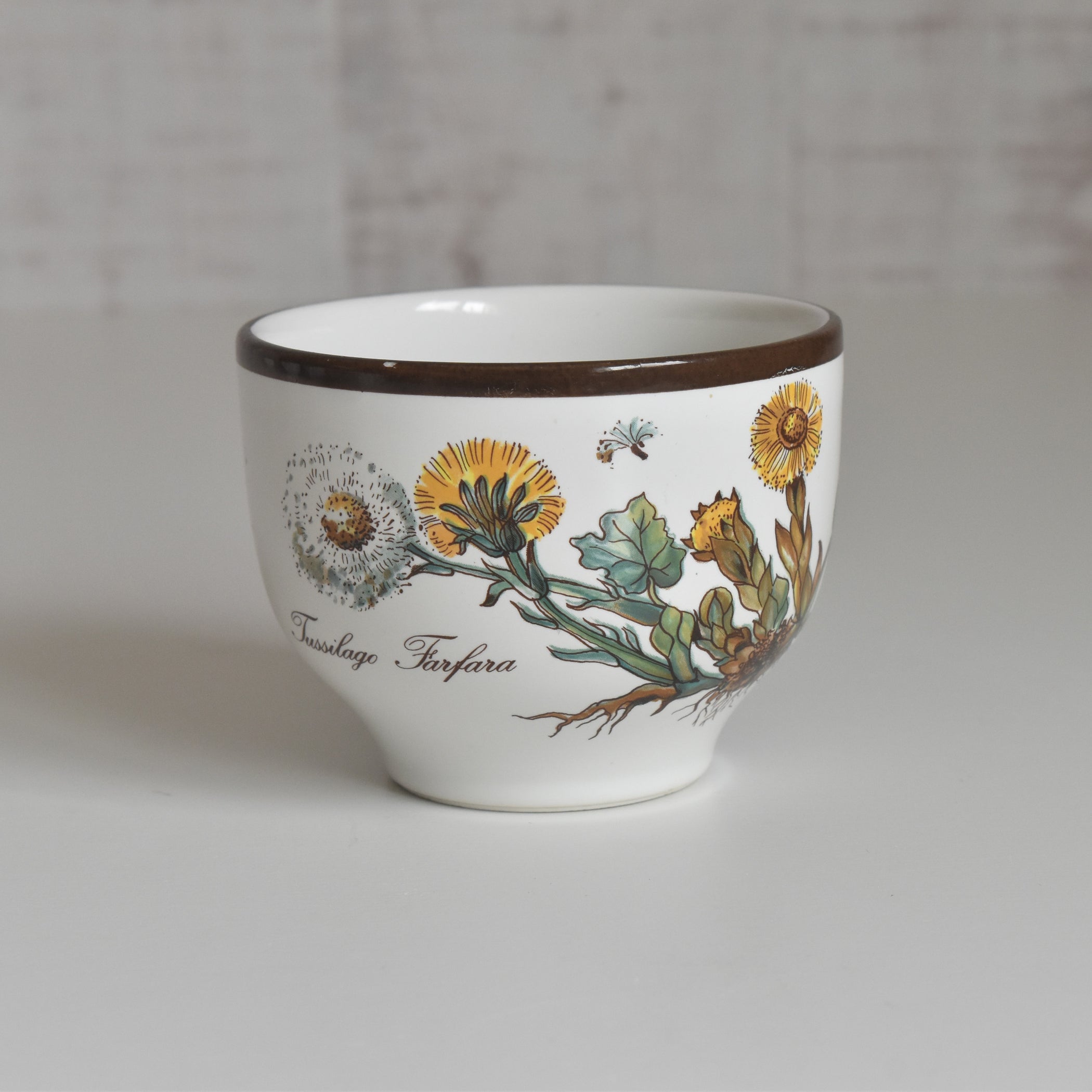 ヴィンテージカップ ビレロイボッホ Botanica (ボタニカ） B — Loane Interior