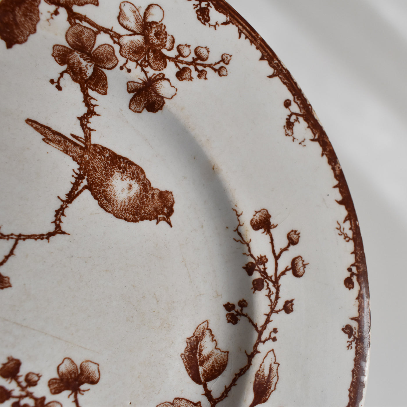 アンティークデザートプレート ジアン Fauvette B — Loane Interior