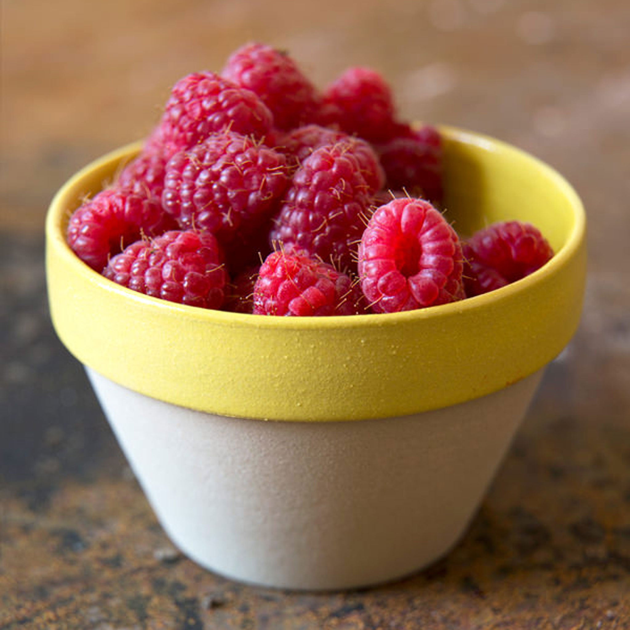 Manufacture de Digoin/マニュファックチュール・ドゥ・ディゴワン — Loane Interior